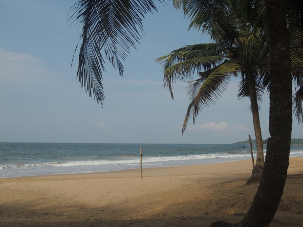 Ghana, Ghana, Ghana! – davecoles